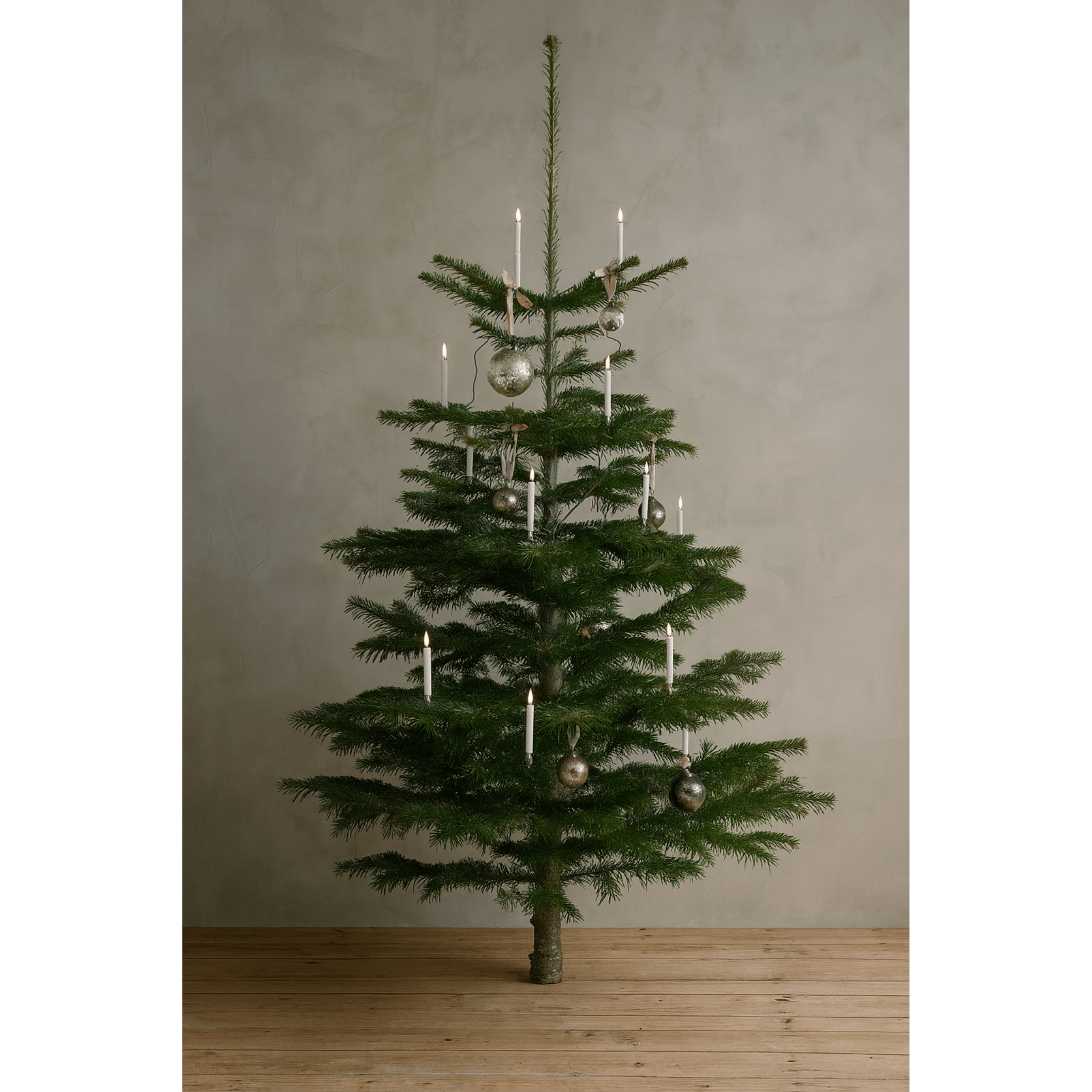 Clips for Mini Taper Tree Candles - Green – Sutherland Interiors