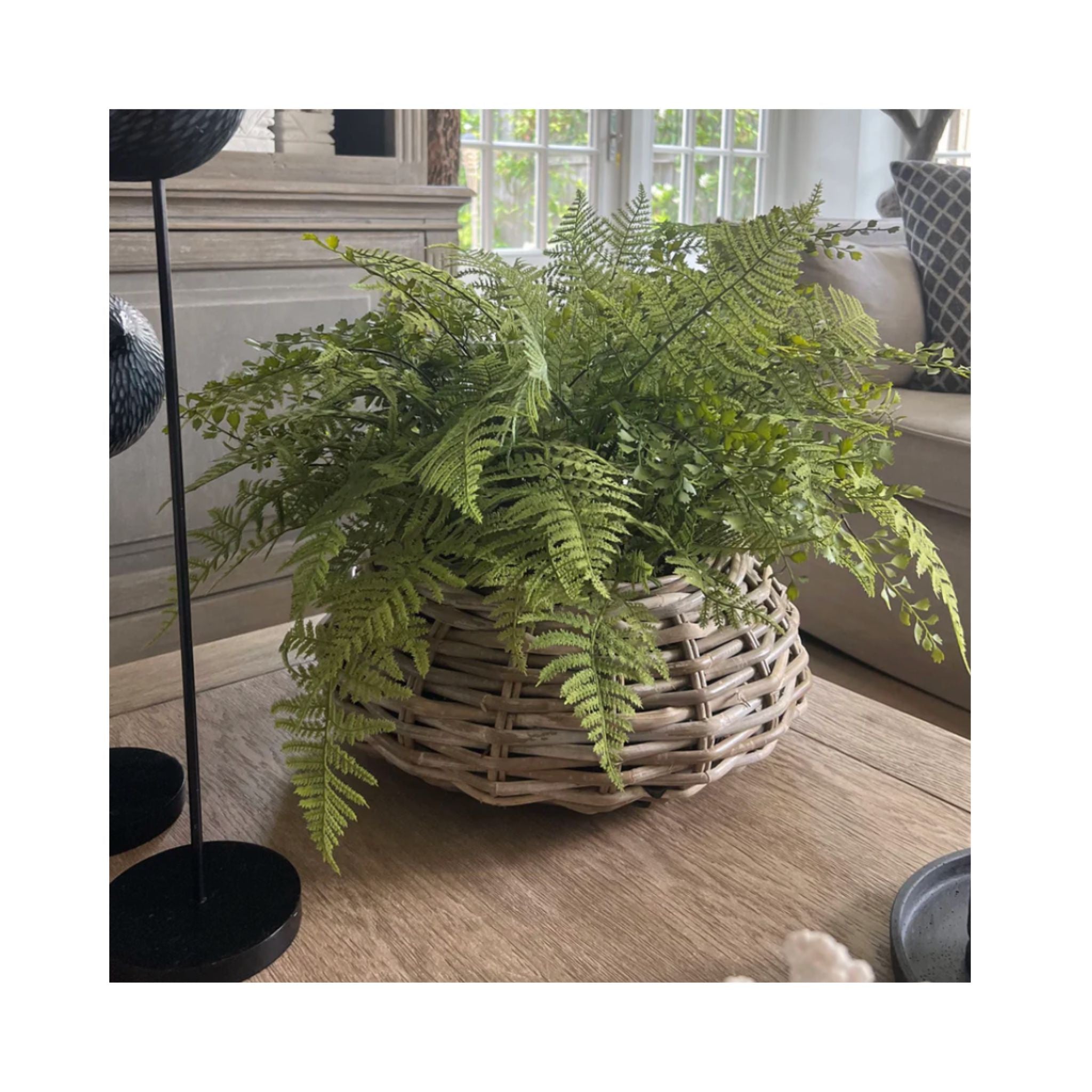 Ferns in a Wicker Basket – Sutherland Interiors